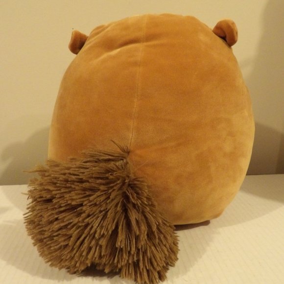 Squishmallows | Toys | Squishmallow Hugs Kisses Squirrel Chipmunk 9 ...